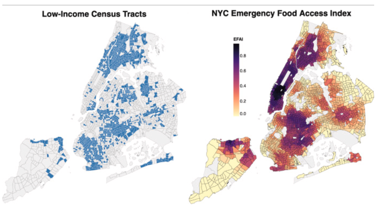 Callie Clark Explores Emergency Food Access | Marron Institute